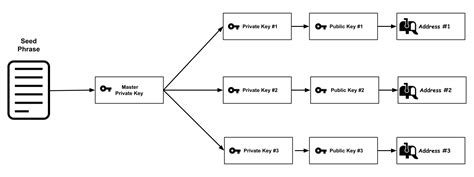 What Is A Seed Phrase What Is A Seed Phrase