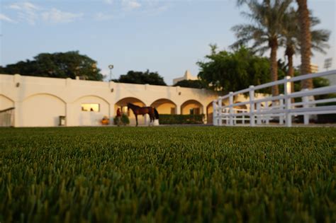 Artificial Grass Qatar Royal Grass Qatar Artificial Grass