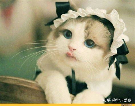 请问下载python出现 Pythonexe可能损害你的设备”该怎么办？ 知乎