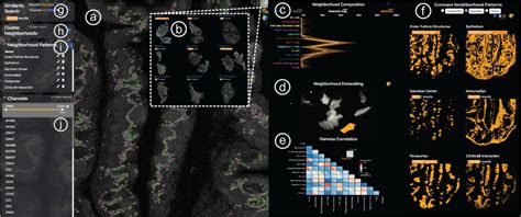 Microscopy Preprints Bioimage Analysis Tools Focalplane