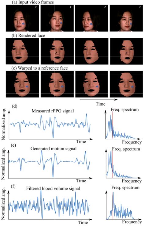 Robustppg Camera Based Robust Heart Rate Estimation Using Motion