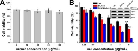 A Cytotoxicity Of Ccmsil After 48 H Incubation With Mcf 7 Cells B