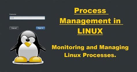 Linux Process Management A Deep Dive 🐧⚙️