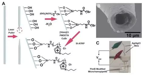 Researchers Create Fluidic Memristors With A Variety Of Neuromorphic