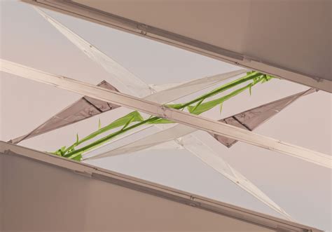 Biophilic Design Healthcare → Term