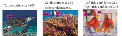 Object Classification Results From Imagenet Data Set Download