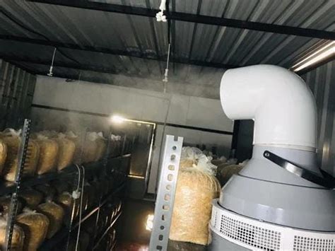 Cleaning Your Mushroom Farm Tips And Precautions By S M Shahinul Islam Medium