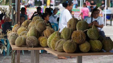 How A Durian Festival In Indonesia Became A Symbol Of Resistance