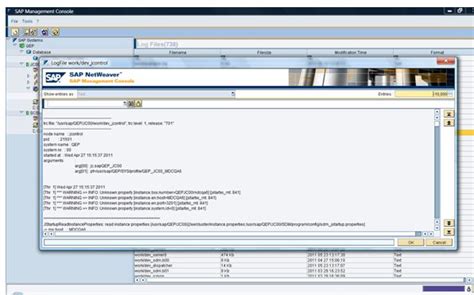 DOCX SAP Java Monitoring Check List DOKUMEN TIPS