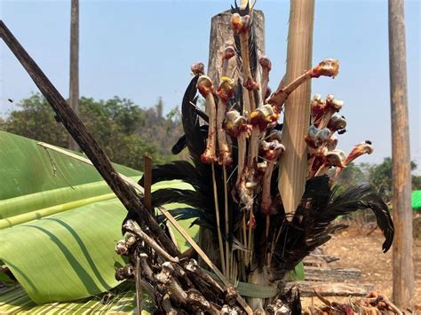 ရောက်တဲ့နေရာမှာ အစဉ်အလာမပျက် ရိုးရာ ကေ့ထျိုးဘိုး ခေါ် တံခွန်တိုင်ပွဲ