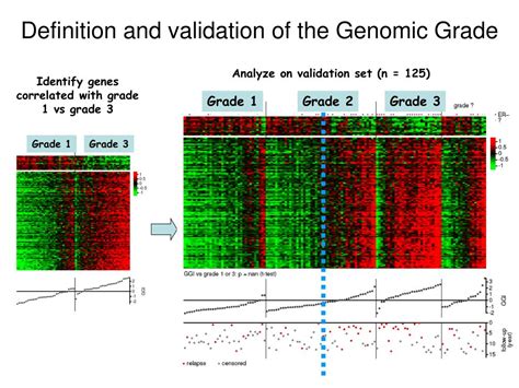 Ppt Microarray Analysis As A Prognostic And Predictive Tool