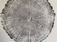 10 Tree Ring Art Ideas Tree Ring Art Tree Rings Woodcuts Prints