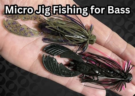 5 Best Swim Jigs For 2025 Barb Catch Fishing