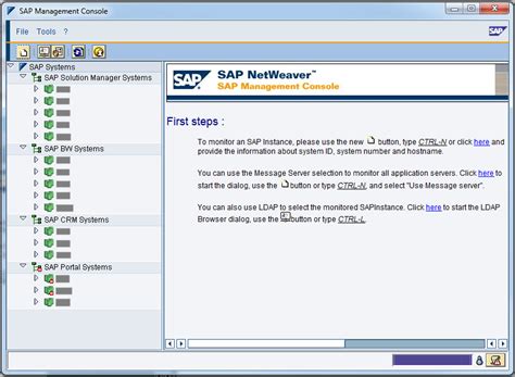 Local Use Of Sap Mc For As Java Systems Management Sap Community