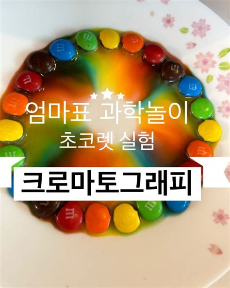 엄마표 과학 색의 분리 크로마토그래피 과학 뒤집기 혼합물의 분리 네이버 블로그
