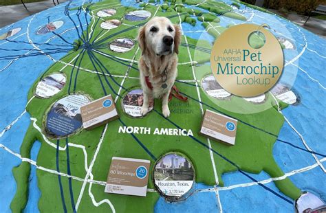 Microchip Lookup A Vital Step In Pet Identification Bc Pet Registry