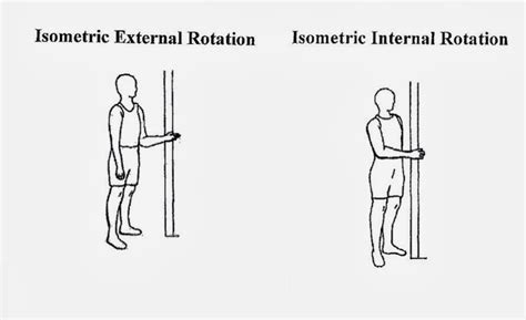 Rotator Cuff Isometric Exercises Lodyoung