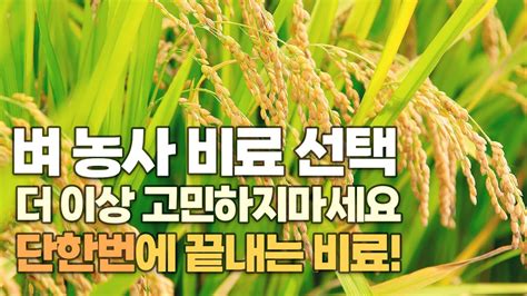벼농사의 시작 밑거름 비료의 선택 단한번으로 끝나는 비료 추천 조비 단한번비료 Youtube