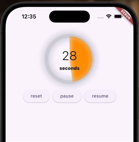 Timer Flutter Flutter Package