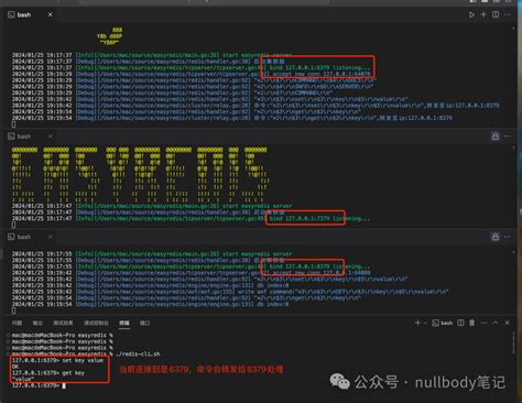Golang实现redis之分布式集群 极客之音