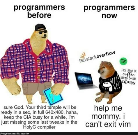 HolyChad ProgrammerHumor Io