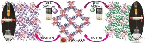 Guanidine‐functionalized Fluorescent Sp2 Carbon‐conjugated Covalent
