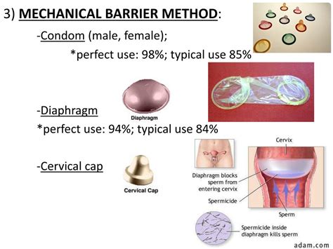 PPT Birth Control PowerPoint Presentation Free Download ID
