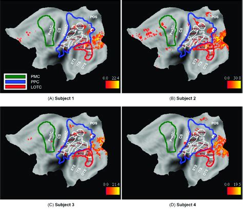 Activation Map For Observed Actions P
