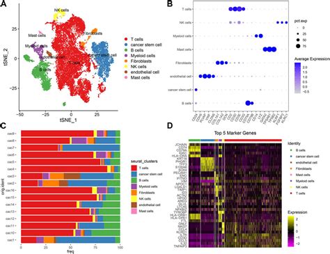 Frontiers Constructing A Cancer Stem Cell Related Prognostic Model For Predicting Immune