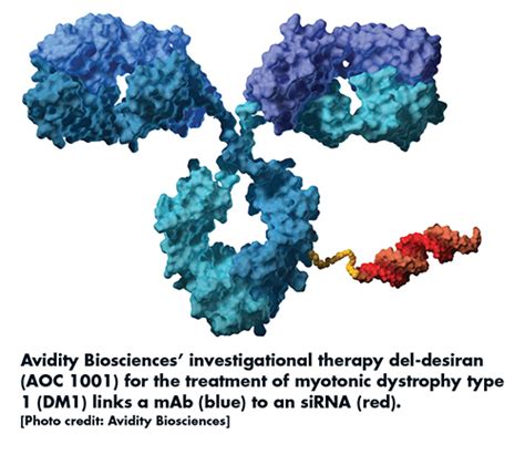 Platform Technology Antibody Oligonucleotide Conjugates Aocs™ Revolutionizing A New Class