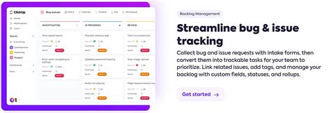 Best Practices For Successful Defect Management Reporting Shake