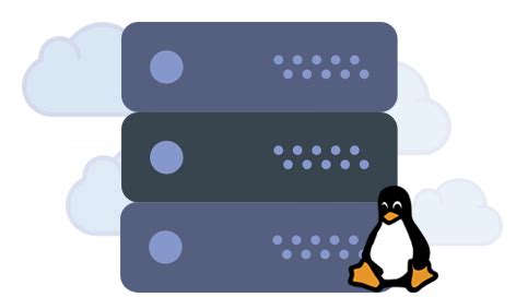 Linux Hosting With Cpanel Hosted In Hyderabad Mumbai Netspace India