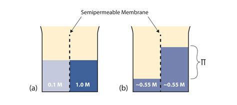 Colligative Properties Examples
