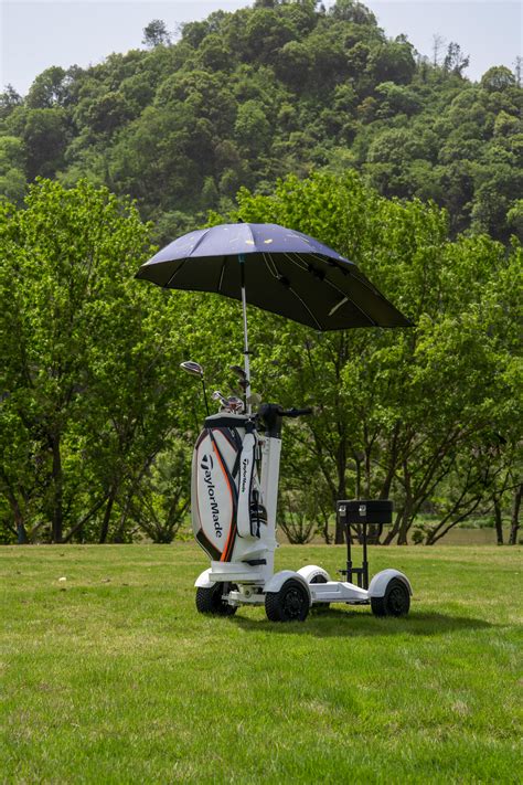 Electric Golf Scooter Es M12 1 Eswing Eswingsports