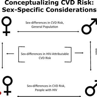 Conceptualizing CVD Risk Sex Specific Considerations Download Scientific Diagram