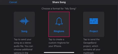 Ways How To Set Ringtone On IPhone From Music Library