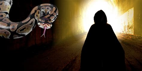 The Python Spirit Biblical Meaning And Divination Humble And Faithful Co