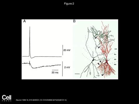 Volume 16 Issue 4 Pages April 1996 Ppt Download