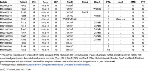 Drug Resistance And Compensatory Mutations In Poly Resistant Isolatesa