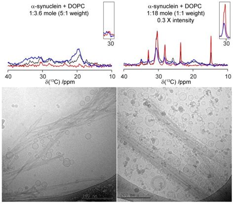 Inserted Boxed Peaks Are Inept And Cp Signals For The Unresolved Peaks Download Scientific