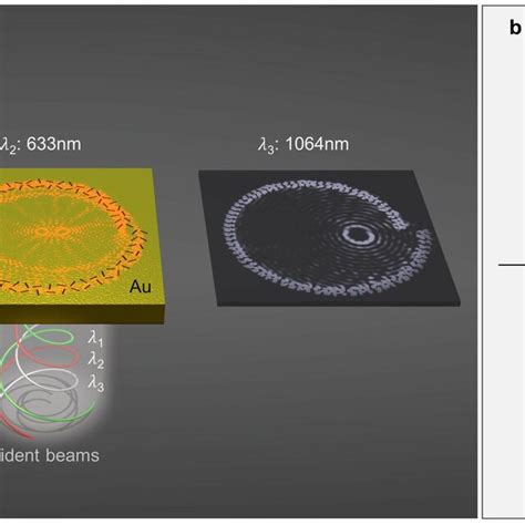 Tunable Excitation Of Spp Waves Carrying Oam A Schematics Of A