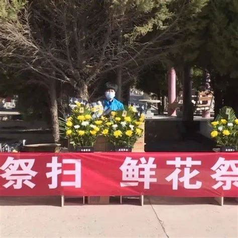 我们的节日清明金昌鲜花换纸钱 文明祭祀风 龙景山 陵园 方式