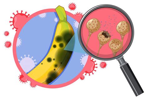 The Rise Of Foodborne Pathogens