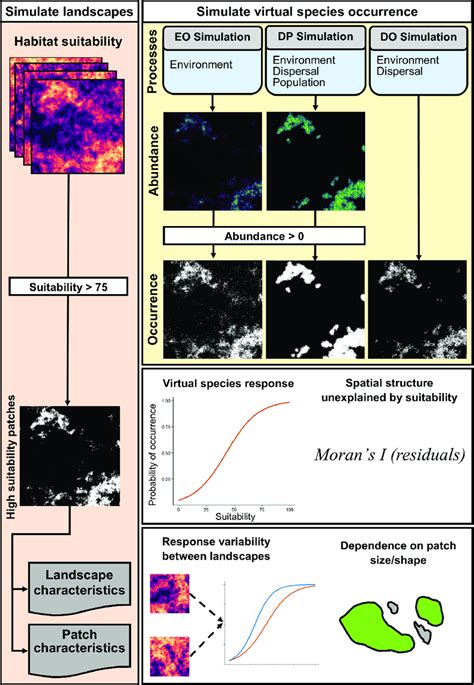 Graphical Overview Of Experiment Workflow Download Scientific Diagram