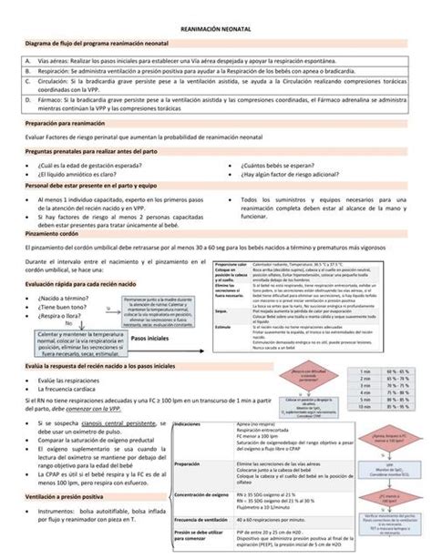 Reanimación Neonatal Pablofernando Udocz