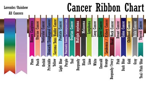539 Cancer Ribbon Chart Royalty Free Photos And Stock Images Shutterstock