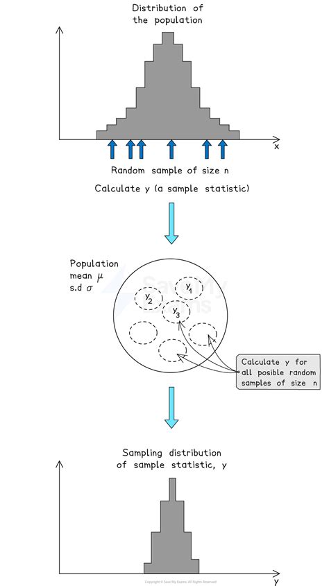 Introduction To Sampling Distributions College Board AP Statistics Study Guides