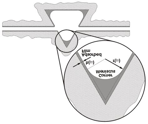 Conceptual Sketch For The Simplified Approach Syl The Radius Of Download Scientific Diagram