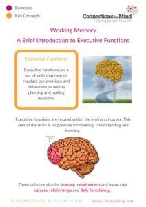 Working Memory Handout CiM Online Learning
