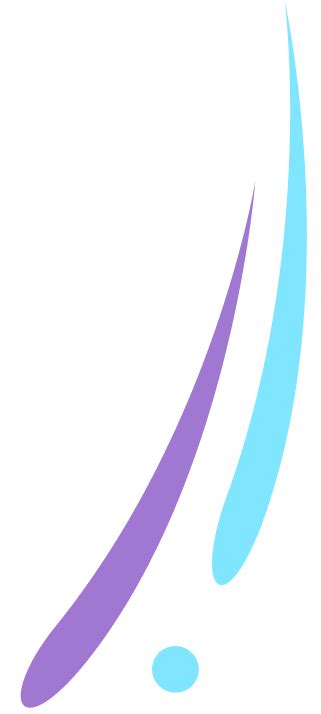 What Is A Line Of Symmetry Examples And Guide Doodlelearning